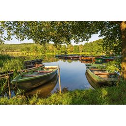 papermoon Fototapete "Pferde im Feld", B/L: 2,5mm x 1,86mm, Bahnen: 5 Stk. St., bunt, Schlafzimmer, Tapeten
