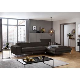 Ecksofa W.Schillig, B:343cm H:70cm T:193cm, braun, Longlife Xtra-Leder Z59: Glattleder mit modischer Prägung. Hautstärke 0, 9 - 1, 1 mm, Wohnzimmer,