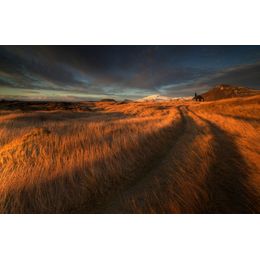 papermoon Fototapete "Photo-Art RAYMOND HOFFMANN, FELDWEG ZUR KIRCHE", B/L: 2,5mm x 1,86mm, Bahnen: 5 Stk. St., bunt, Schlafzimmer, Tapeten