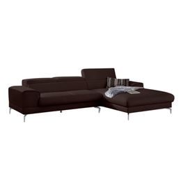 Ecksofa W.Schillig, B:303cm H:70cm T:193cm, braun, Longlife Xtra-Leder Z69: Das feinnarbige, gedeckte Softleder Z69 besticht durch seine