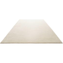 Teppich HOMIE LIVING, B:120cm H:17mm L:170cm, beige, Polypropylen (PP), Wohnzimmer, Teppiche, "Venice HL-0135"
