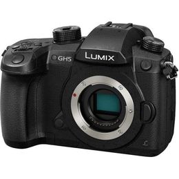 Panasonic Spiegelreflex Lumix GH5 - Schwarz + Lumix Lumix G 12-35mm f/2.8 Power OIS f/2.8