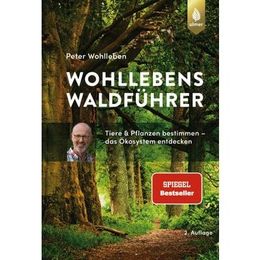 Ulmer Verlag Wohllebens Waldführer
