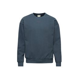 Halo Sweatshirt male Blue size L
