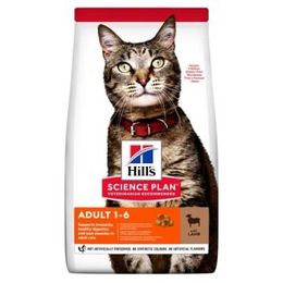 Hill's Hill's Science Plan Trockenfutter Katze, Adult, Lamm und Reis 10 kg