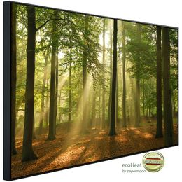 papermoon Infrarotheizung &raquo;Wald am Morgen&laquo; sehr angenehme Strahlungsw&auml;rme bunt Aluminium Kabell&auml;nge 2 m