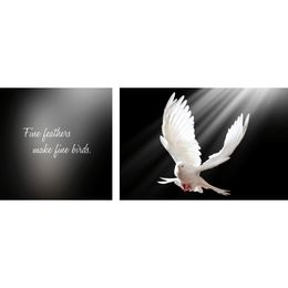 queence Leinwandbild »Birds«, (Set), 2er-Set bunt