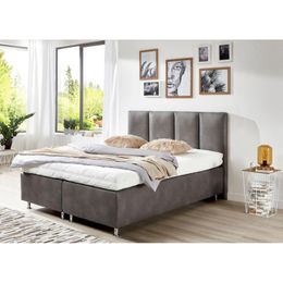 Westfalia Schlafkomfort Boxspringbett grau