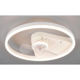 Trio LEUCHTEN LED Deckenleuchte "Borgholm Deckenventilator", weiß (weiß matt), Ø 50,0cm H: 15,0cm, Lampen, Deckenlampe, Ventilator, Fernbedienung, Ventilator getrennt schaltbar