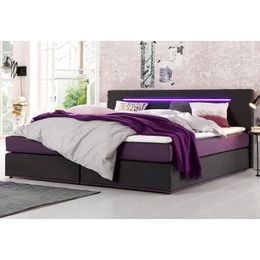 Collection AB Boxspringbett inkl. LED-Beleuchtung mit Farbwechsel und Topper anthrazit/brombeerfarben