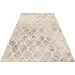 Wecon Home Teppich &raquo;Replay&laquo; rechteckig 20 mm H&ouml;he Kurzflor, Wohnzimmer grau Obermaterial: 100% Polypropylen B : 200 cm 1 Stk.