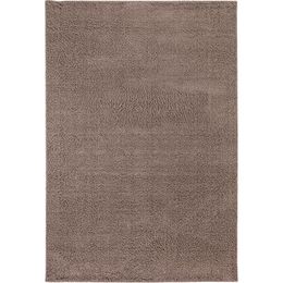 ANDIAMO Hochflor-Teppich »Cala Bona« rechteckig 26 mm Höhe Besonders weich durch Microfaser, Wohnzimmer taupe Obermaterial: 100% Polyester B : 120...