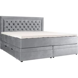 LEONIQUE Boxspringbett »Julien« mit Taschenfederkernmatratze light gray