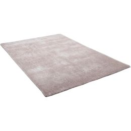 Gino Falcone Hochflor-Teppich »Alessandro« rechteckig 25 mm Höhe besonders weich durch Microfaser, ideal im Wohnzimmer & Schlafzimmer hellbeige...