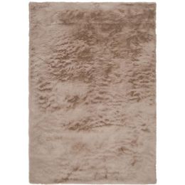 OCI DIE TEPPICHMARKE Teppich &raquo;BUFFY SOFT&laquo; rechteckig 25 mm H&ouml;he taupe Obermaterial: 100% Polyester B : 70 cm 1 Stk.