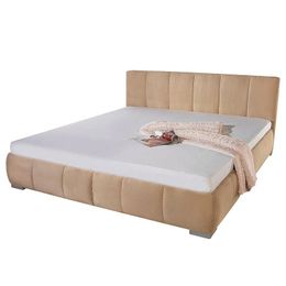 Maintal Polsterbett sand