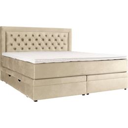 LEONIQUE Boxspringbett »Julien« mit Taschenfederkernmatratze cream