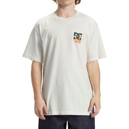 DC Shoes T-Shirt »Seed Planter« White Enzyme Wash XXL XXL Material: Jersey-Stoff aus...