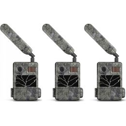 Zeiss Secacam 3 3er Pack
