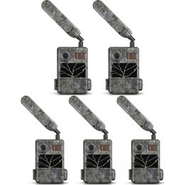 Zeiss Secacam 3 5er Pack