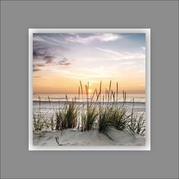 Pro Art Aludibondbild BEACH IV