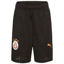 Trainingsshorts Puma "GSK TRAINING SHORTS", Herren, Gr. M, N-Gr, schwarz (Puma schwarz, intense orange), Web, Obermaterial: 100% Polyester, unifarben, sportlich, regular fit kniefrei, Hosen, Galatasaray Istanbul Shorts 2024/2025