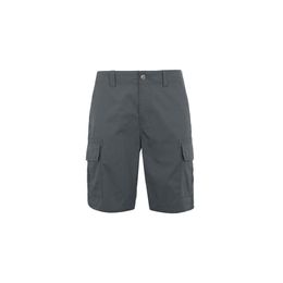 Dickies Shorts 'Millerville' Herren Gr&ouml;&szlig;e 34 basaltgrau
