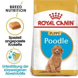 Royal Canin BHN Poodle Puppy 3kg
