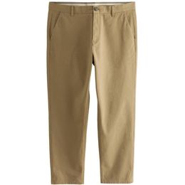 next Chino Pants male Brown size 36