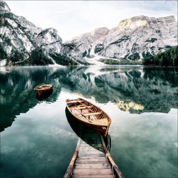 Pro Art Aludibondbild WILDSEE III
