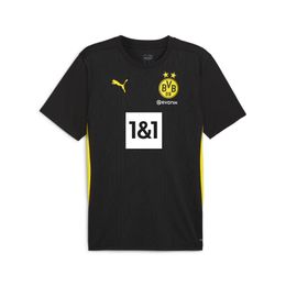 Trainingsshirt Puma "Borussia Dortmund Trainingstrikot Herren", Herren, Gr. M, gelb (schwarz faster gelb), 100% Polyester, slim fit, Kurzarm, Shirts