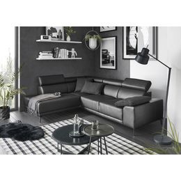 Ecksofa 3C CANDY "Greve modern und bequem, inkl. manueller Kopfteilverstellung, L-Form", schwarz, B:249cm H:79cm T:209cm, 100% Leder, Sofas, Ecksofa, wahlweise mit motorischem Sitzvorzug