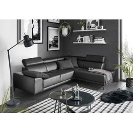 Ecksofa 3C CANDY "Greve modern und bequem, inkl. manueller Kopfteilverstellung, L-Form", schwarz, B:249cm H:79cm T:209cm, 100% Leder, Sofas, Ecksofa, wahlweise mit motorischem Sitzvorzug