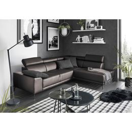 Ecksofa 3C CANDY "Greve modern und bequem, inkl. manueller Kopfteilverstellung, L-Form", braun, B:249cm H:79cm T:209cm, 100% Leder, Sofas, Ecksofa, wahlweise mit motorischem Sitzvorzug