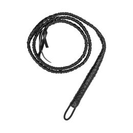 Ouch! Twisted Whip
