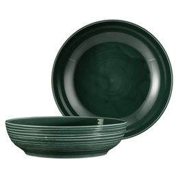 Seltmann Weiden Foodbowl Terra &oslash; 25,5 cm 2er Set