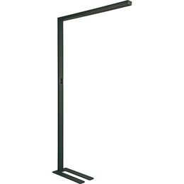 Maul LED-Leuchte Maulsirius colour vario sensor, mit Fuß, dimmbar, schwarz