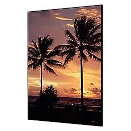 SHOWDOWN Textile Wanddekoration Palmen Sonnenuntergang Mehrfarbig Aluminium