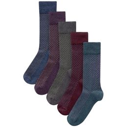 next Socken Herren Gr&ouml;&szlig;e 39/42.5 marine / anthrazit / brombeer / bordeaux