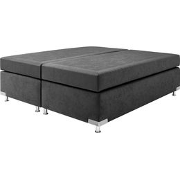 Boxspringbett, B:182cm L:201cm, grau, Westfalia Schlafkomfort, Microvelours (100% Polyester), Komplettbetten, "Holland", ohne Kopfteil, frei im Raum