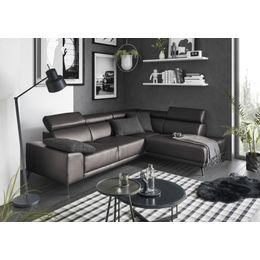 Ecksofa 3C CANDY, B:249cm H:79cm T:209cm, braun, 100% Leder, Wohnzimmer, Sofas, "Greve modern und bequem, inkl. manueller Kopfteilverstellung,