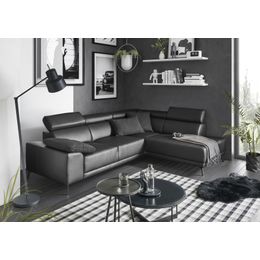 Ecksofa 3C CANDY, B:249cm H:79cm T:209cm, schwarz, 100% Leder, Wohnzimmer, Sofas, "Greve modern und bequem, inkl. manueller Kopfteilverstellung,