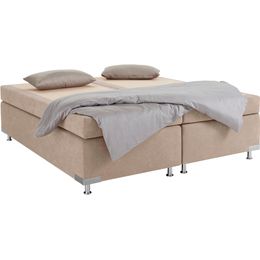 Boxspringbett, B:182cm L:201cm, beige, Westfalia Schlafkomfort, Microvelours (100% Polyester), Komplettbetten, "Holland", ohne Kopfteil, frei im Raum