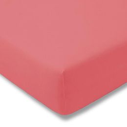 Bettlaken Estella, B:150cm L:200cm, orange, Jersey-Elasthan, Obermaterial: 97% Baumwolle, 3% Elasthan, Bettlaken, "Zwirnjersey", langlebig,