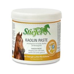 Stiefel Kaolin Paste 2 kg