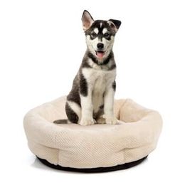 Wallace & Jones Wallace & Jones Hundebett Cloey M