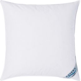 OBB unisex Kissen weiß Größe 40x80 cm 600 g