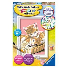 Ravensburger Malen-nach-Zahlen Katzenbabys mehrfarbig