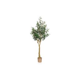 hjh OFFICE Kunstpflanze OLIVE II Kunststoff