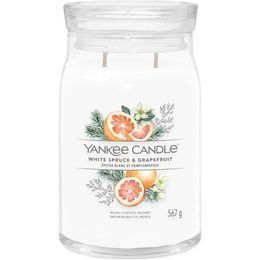 yankee candle Raumdüfte Votivkerze im Glas White Spruce + Grapefruit 567 g